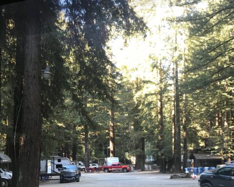 Campground Review: Smithwoods RV Park in Felton, California