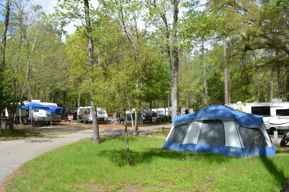 8 Myrtle Beach Campground Recommendations from The RV Atlas