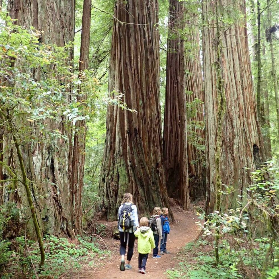7 Tips for Visiting National Parks with Your Family from RVFTA