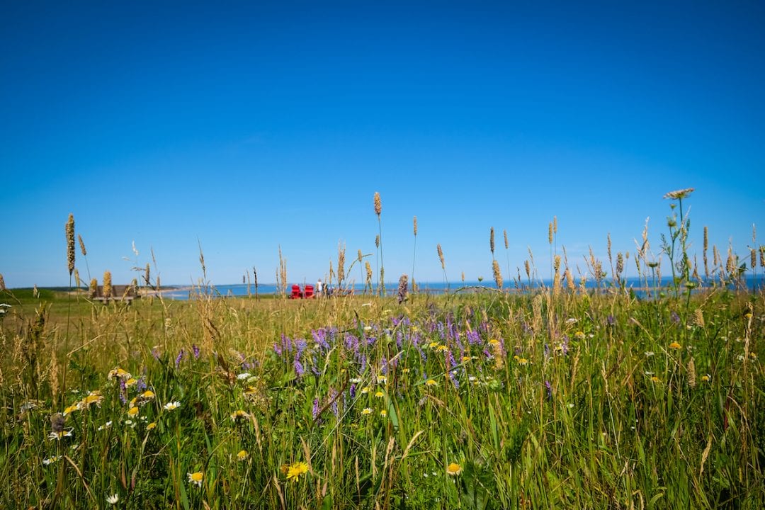 Prince Edward Island and the Cavendish Region in Nova Scotia, Canada