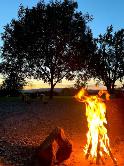 Campground Review: Boardman Marina & RV Park in Oregon - The RV Atlas