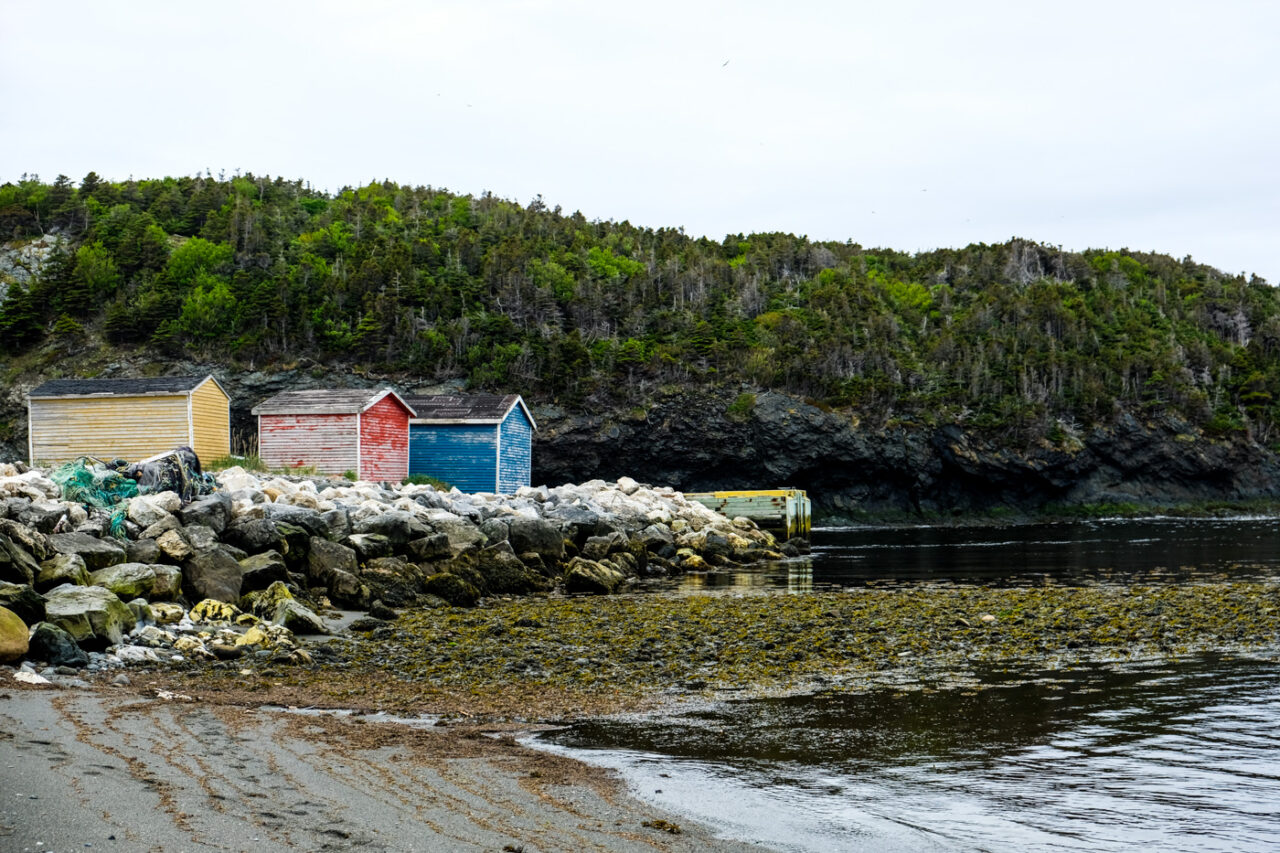 An Epic RV Trip to Newfoundland, Canada (Part One) - The RV Atlas